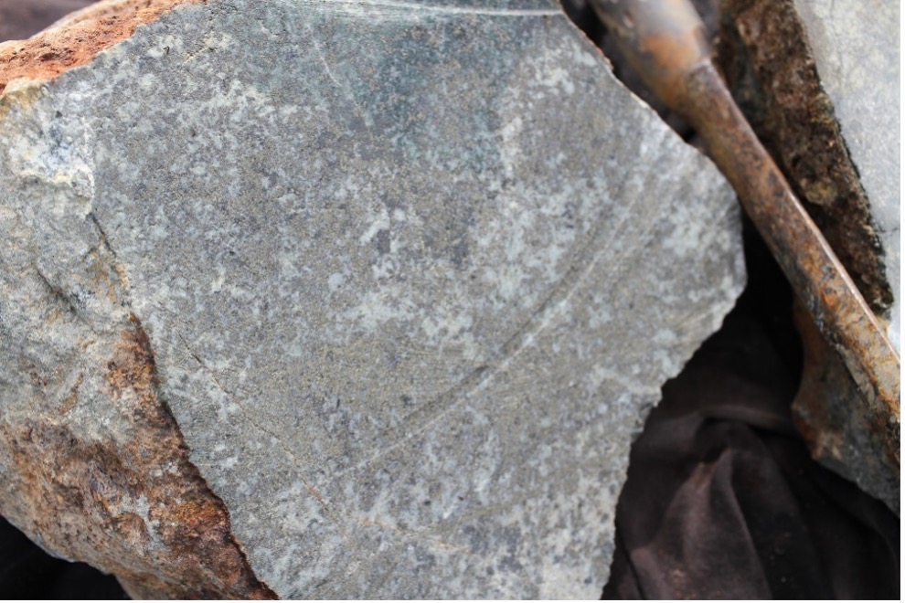 DECADE REPORTS THAT 2024 ROCK ASSAYS OUTLINES AREA FOR 2025 EXPLORATION ...